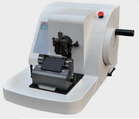 Yidi | www.pro-lab.com.mx