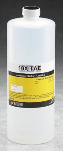 TAE 10X BUFFER 1 L IBI Scientific | www.pro-lab.com.mx
